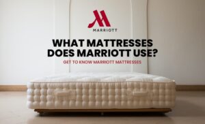 What Mattresses Does Marriott Use? | Mattress Portal